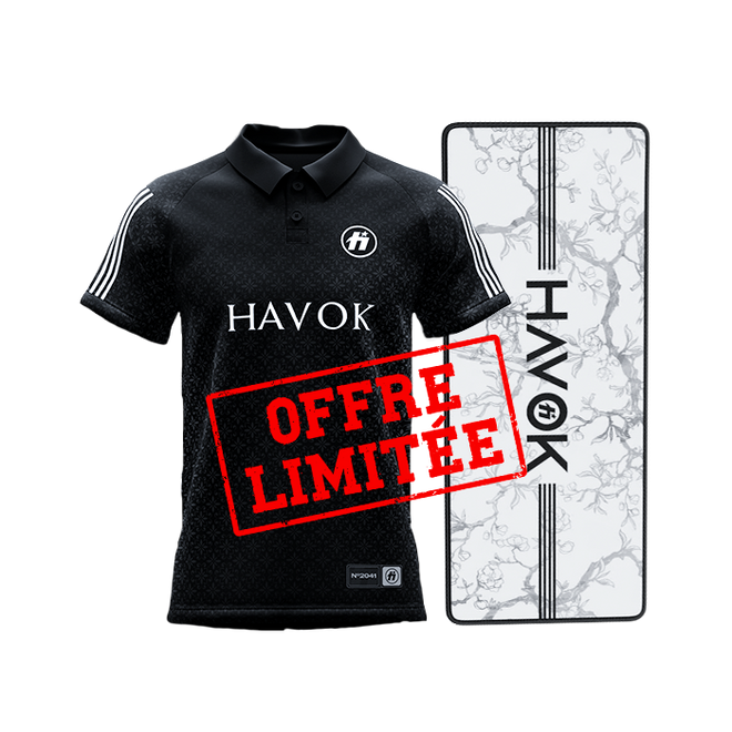 Team HavoK