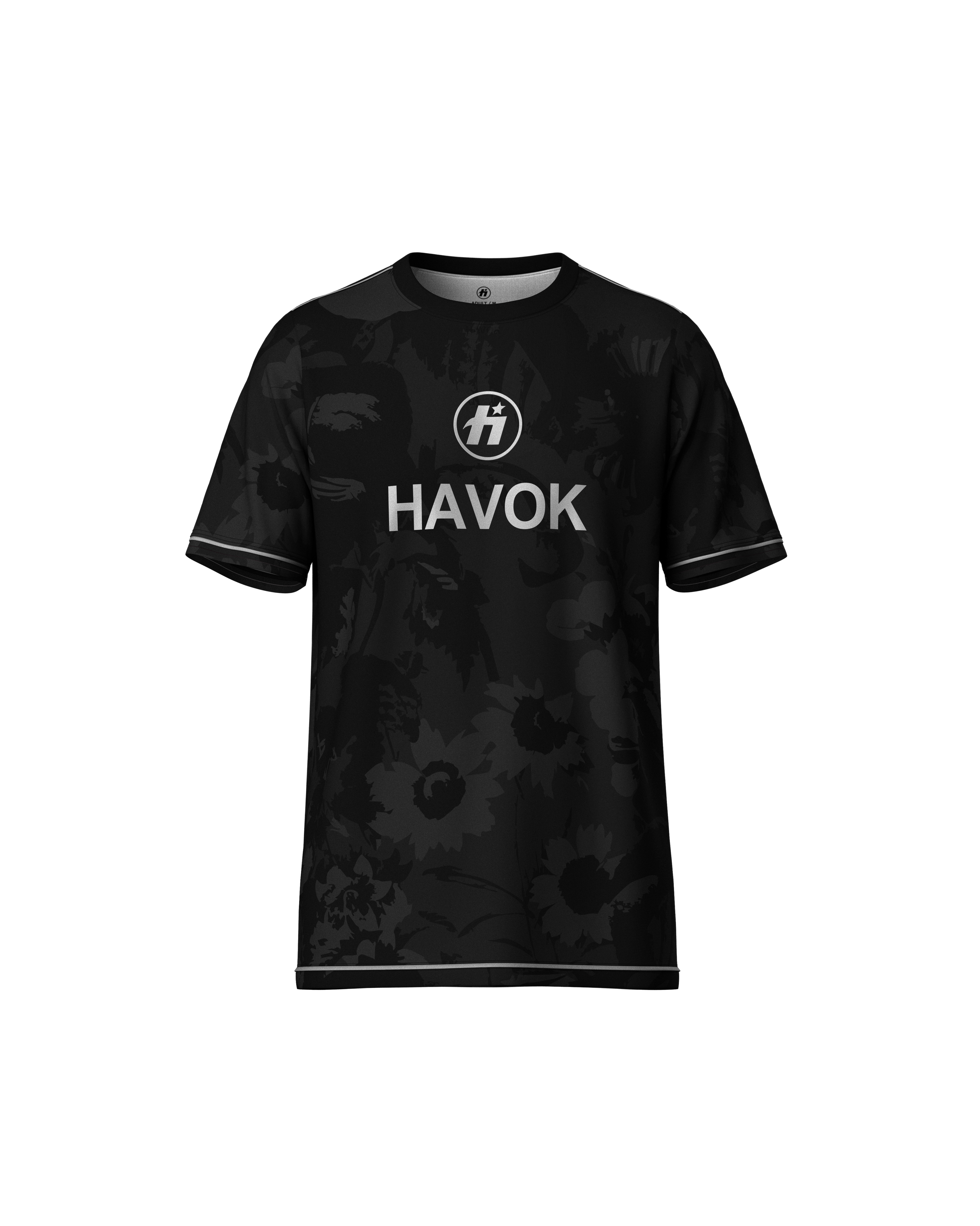 Team HavoK