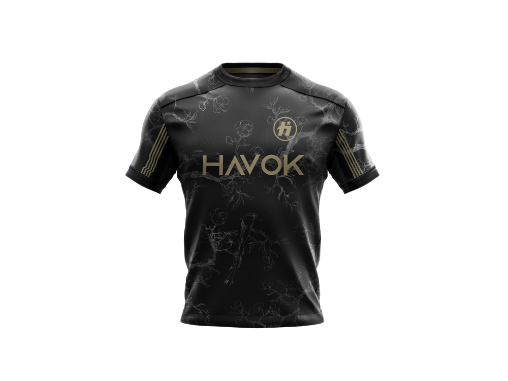 Maillot HavoK Noir & Or